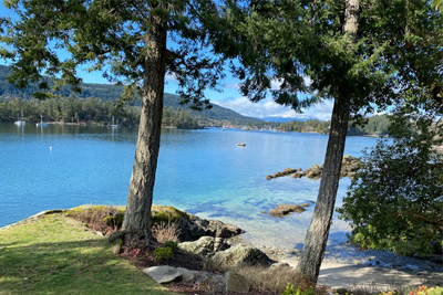 Salt Spring Island Blog